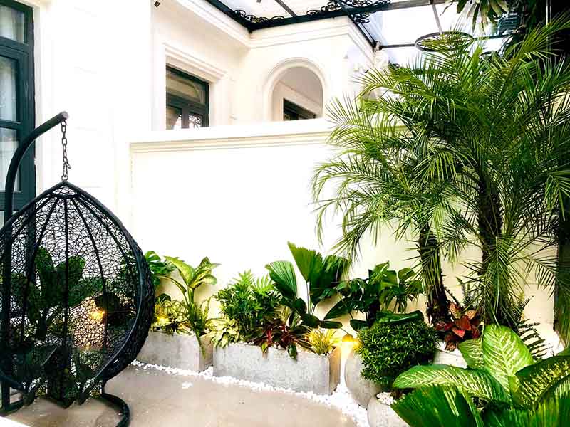 99+ Mẫu Trang Trí Sân Vườn Đẹp Đơn Giản – Xu hướng mới 2024